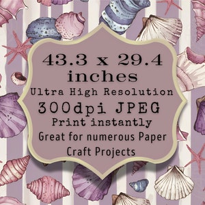 Seashell Wrapping Paper, Ocean Shells Gift Wrap, Handpainted Watercolor ...