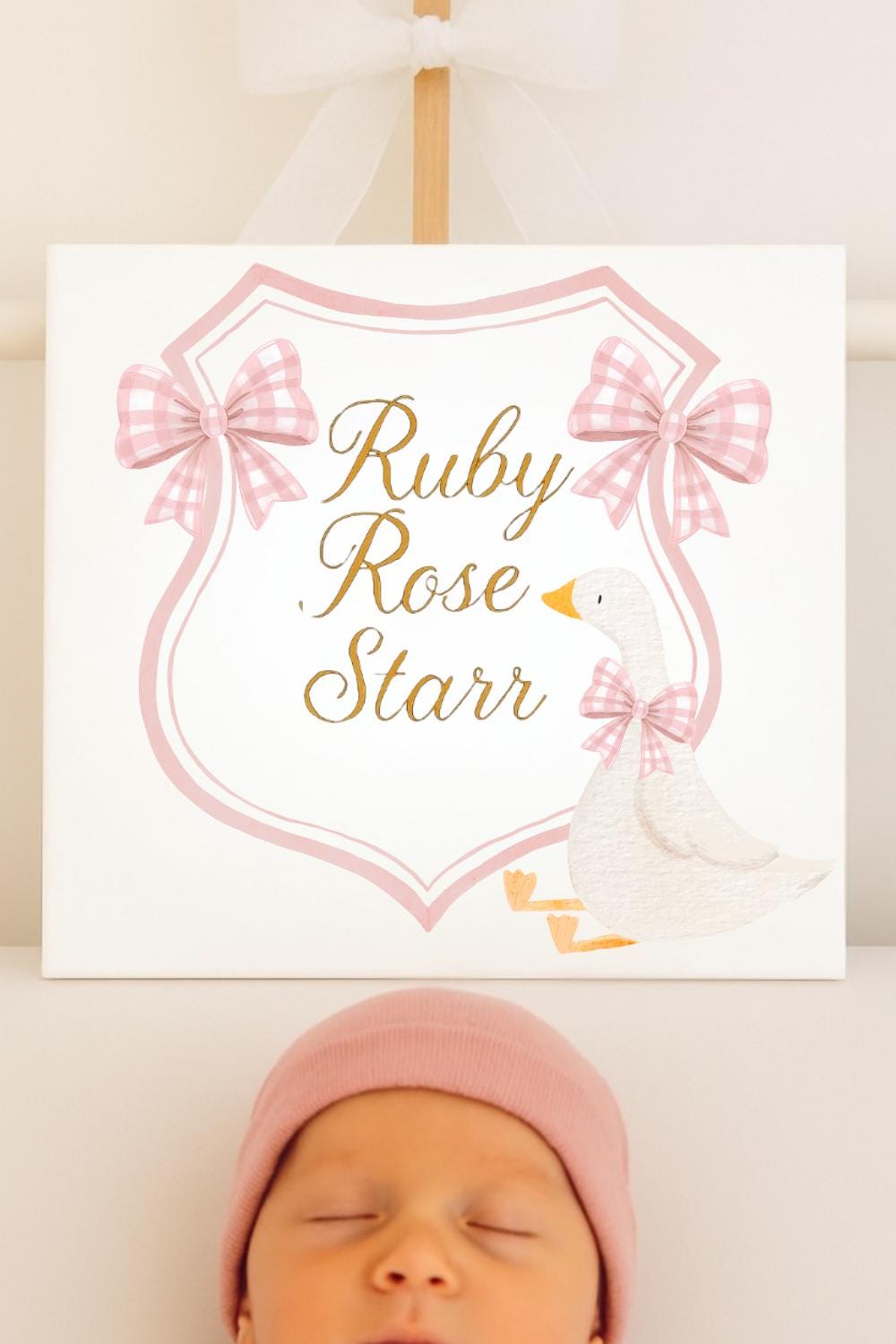 Goose Crest Pink Gingham Bow Frame Clipart Png Bundle, Coquette Bows ...