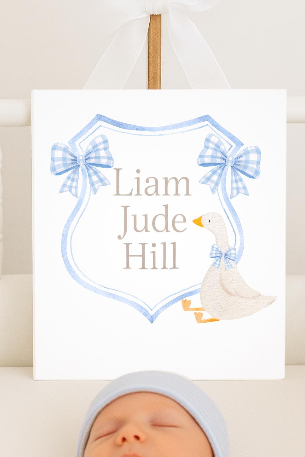 Goose Crest Gingham Bow Frame Clipart Png Bundle, Coquette Bows Crest ...