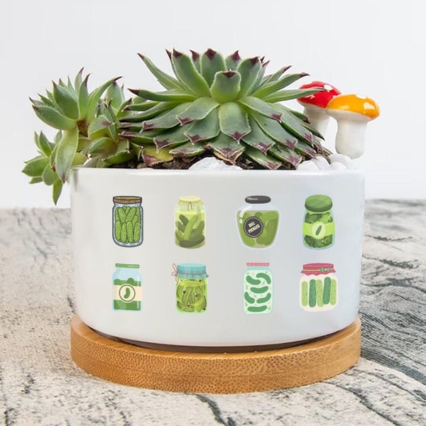 Pickling Jar - Etsy