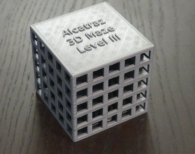 3D Maze Brain Teaser Puzzles: STL Files for 6 Different Levels of Difficulty & Printing ...