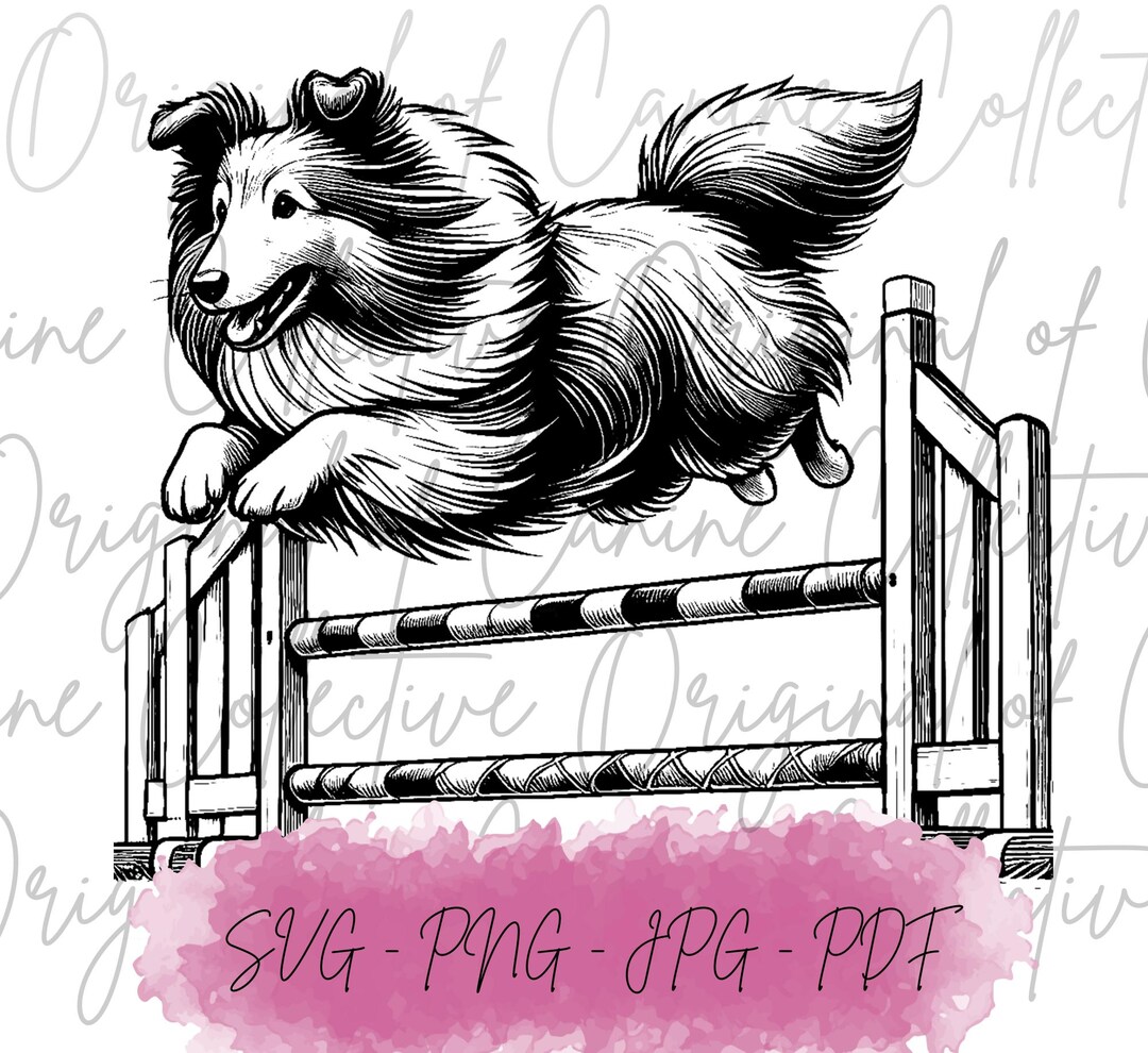 Shetland Sheepdog Agility Jump SVG Bundle - Etsy