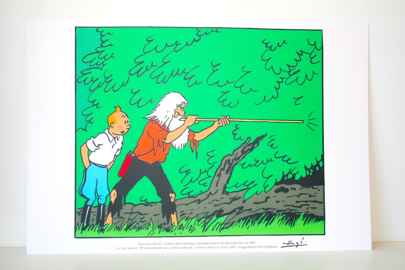 Tintin - Lithography Tintin and the Broken Ear - 33 X 49cm ...