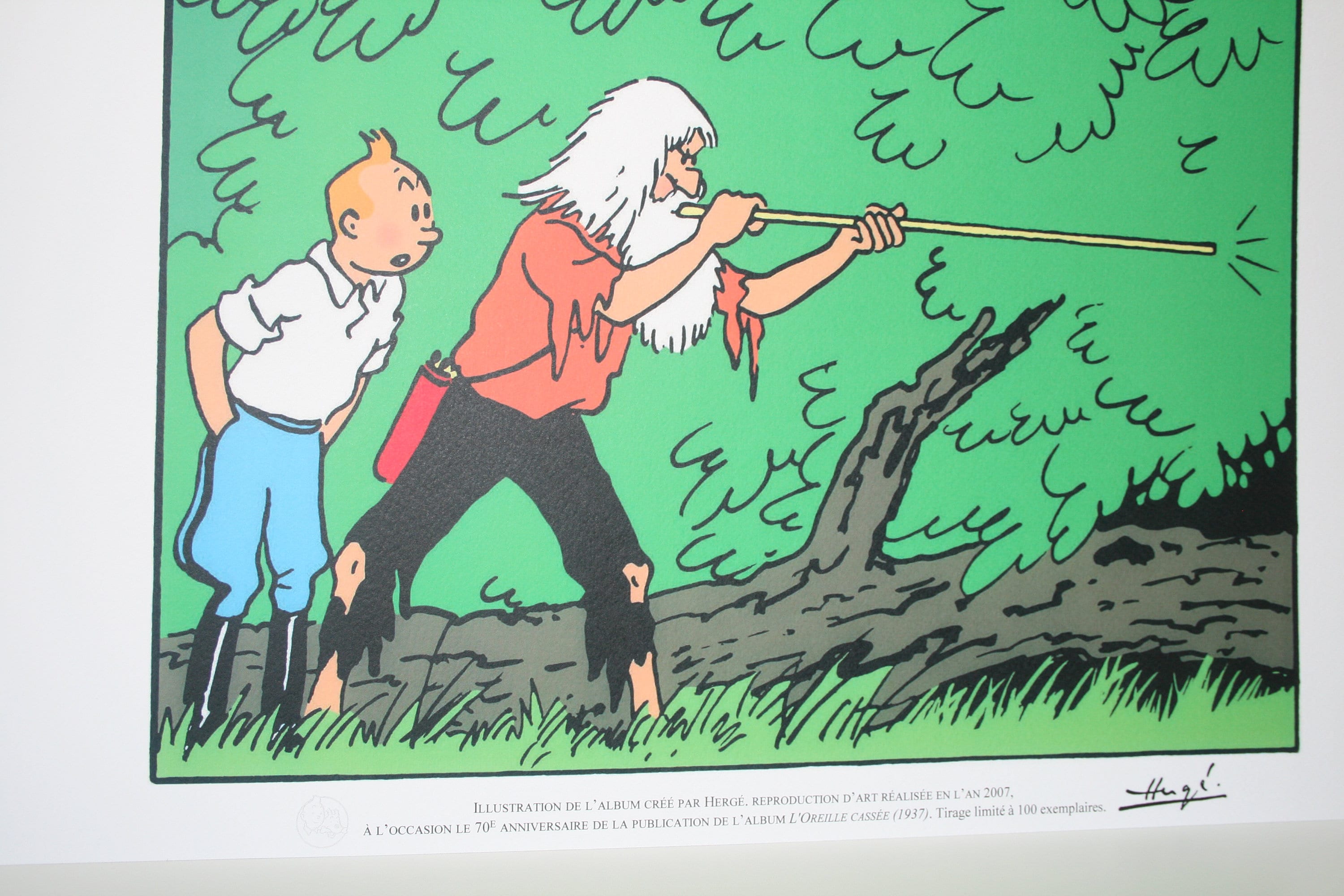 Tintin - Lithography Tintin and the Broken Ear - 33 X 49cm ...