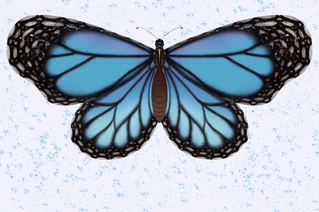 Butterfly - Etsy