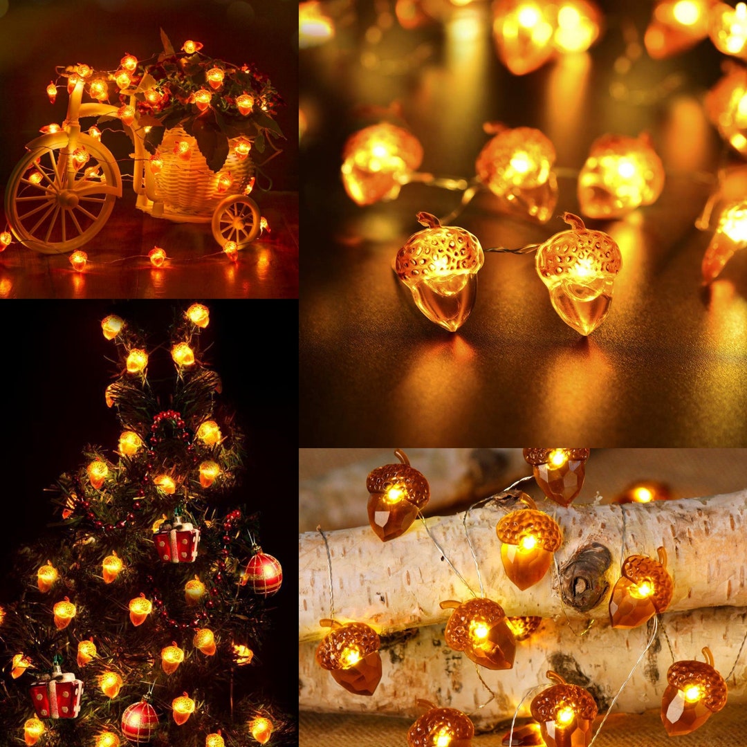Halloween Christmas LED Acorn String Lightsbattery Operated - Etsy