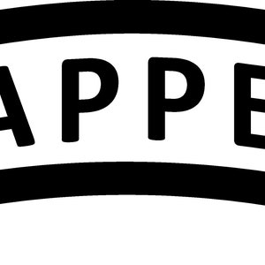 US Army Tabs Sniper Mountain Recon Sapper Ranger Special Forces ...