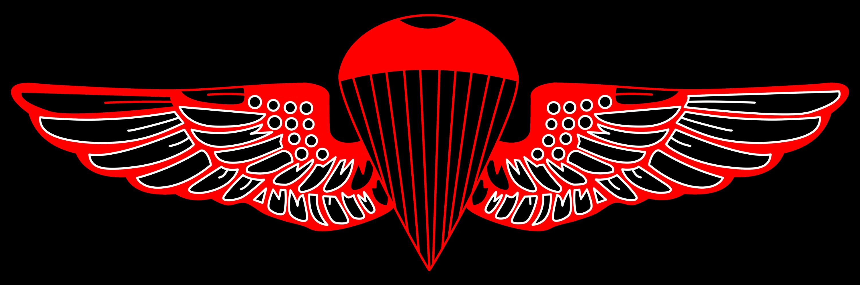 USMC Jump Wings - Navy Parachutist Insignia Logo Vinyl Sticker / Decal ...