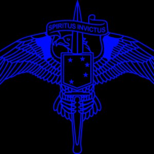 USMC MARSOC Pin - Vinyl Sticker / Decal - Etsy