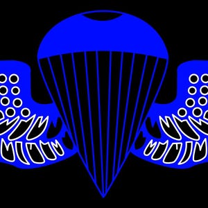 USMC Jump Wings - Navy Parachutist Insignia Logo Vinyl Sticker / Decal ...