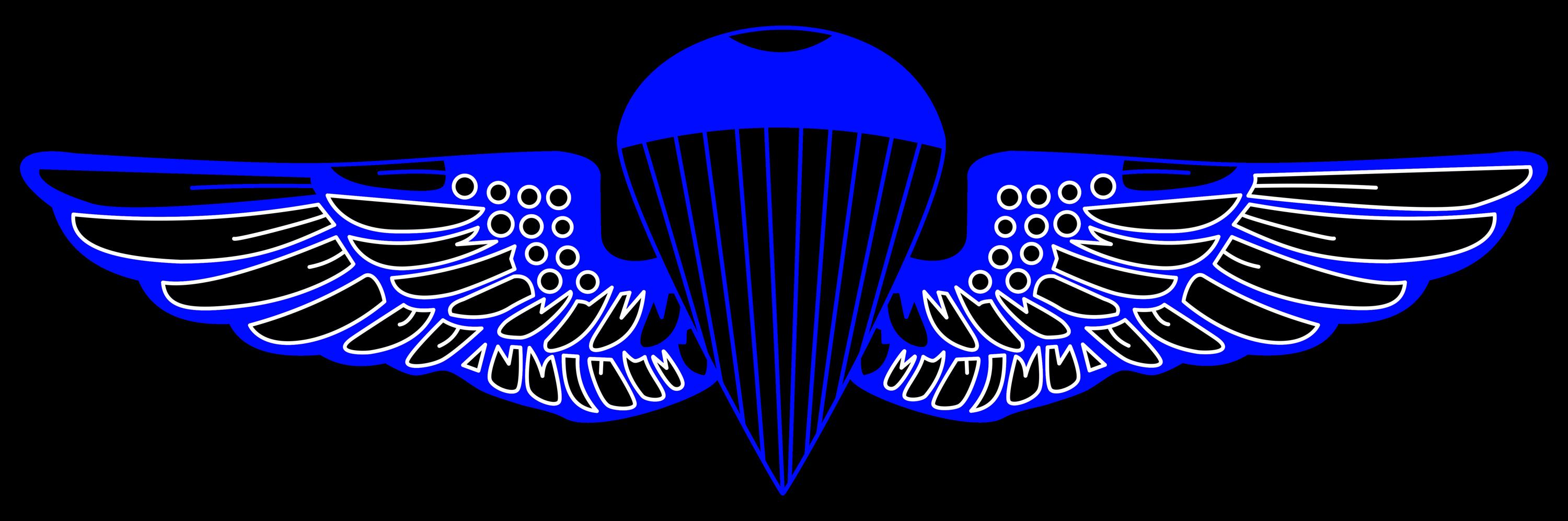 USMC Jump Wings - Navy Parachutist Insignia Logo Vinyl Sticker / Decal ...