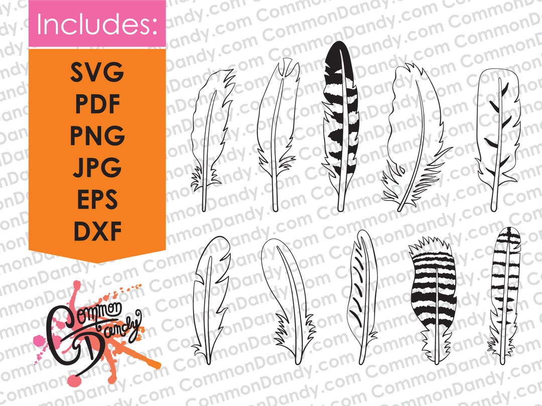 Vector Feather Set SVG - Etsy