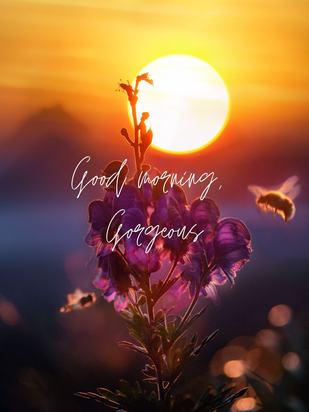 Digital Download Good Morning, Gorgeous Poster - Etsy