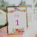 Fiesta Table Numbers, Mexican Wedding Table Number, Cactus Table Number ...