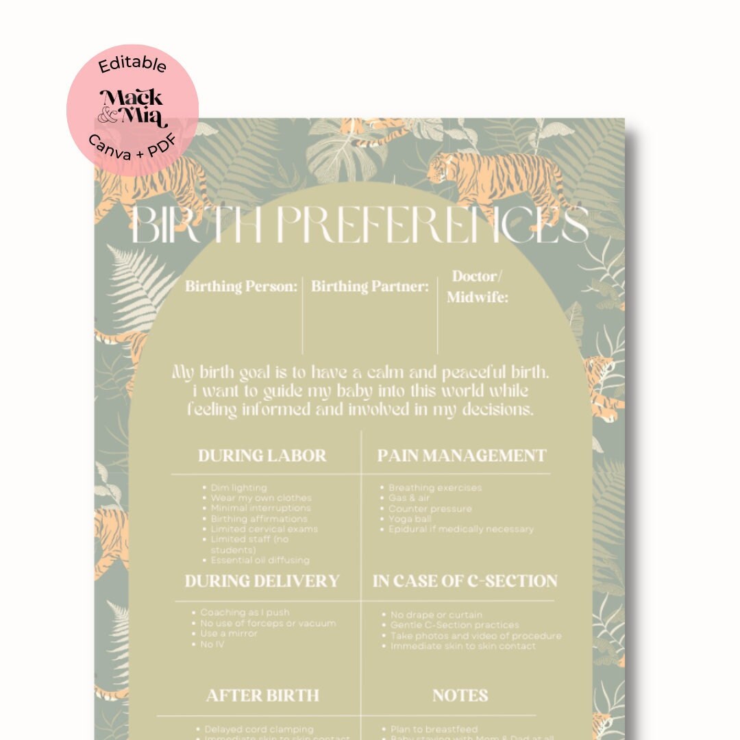Editable Birth Plan Template, Canva Template, Simple Printable Birthing Plan, Labor and Delivery ...