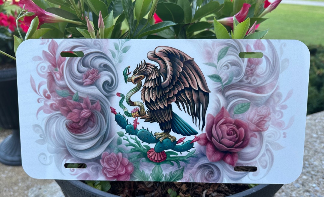 Mexican Flag Colorful 2 Front-decorative License Plate - Etsy