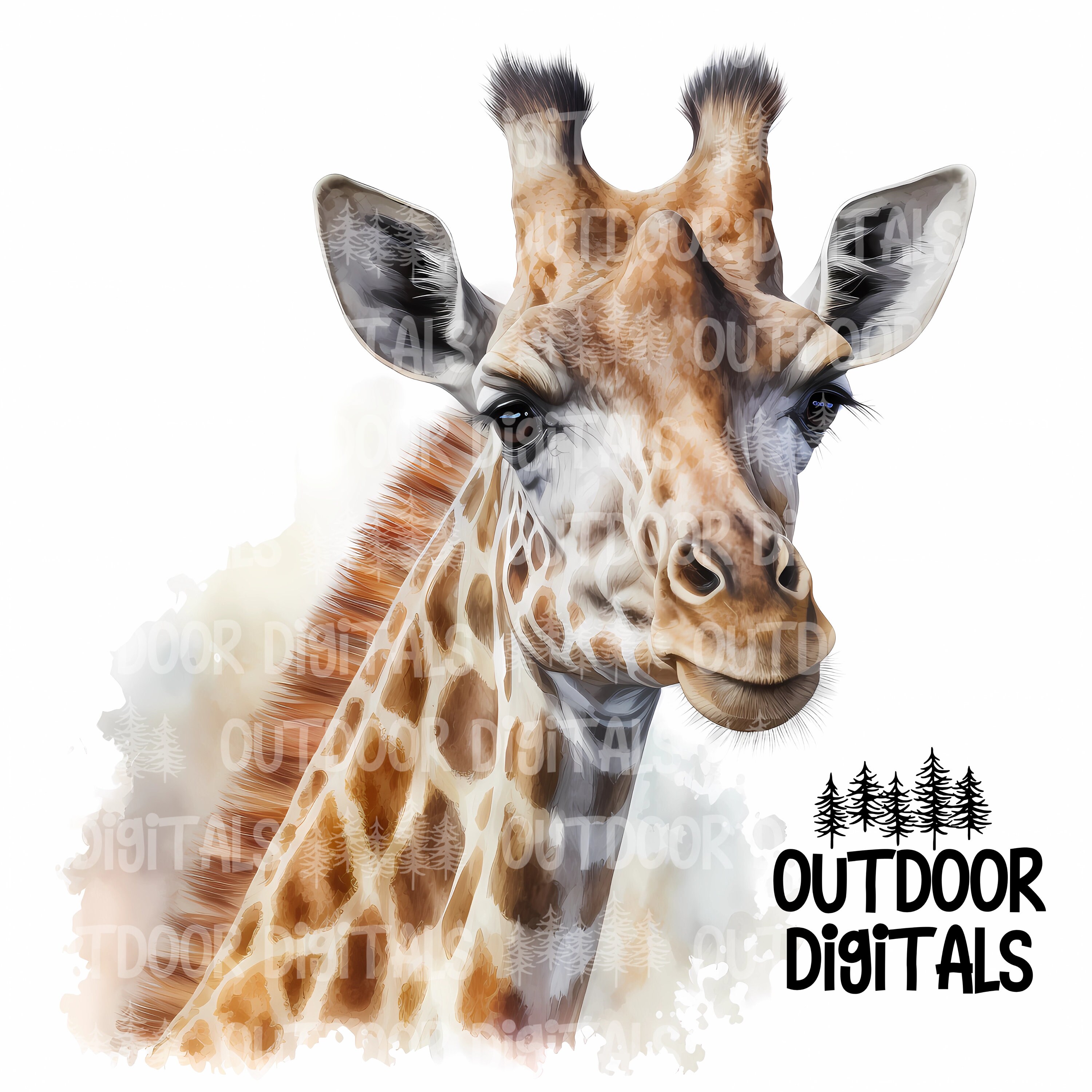 Giraffe PNG Watercolor Giraffe Clipart Giraffe Wall Art - Etsy