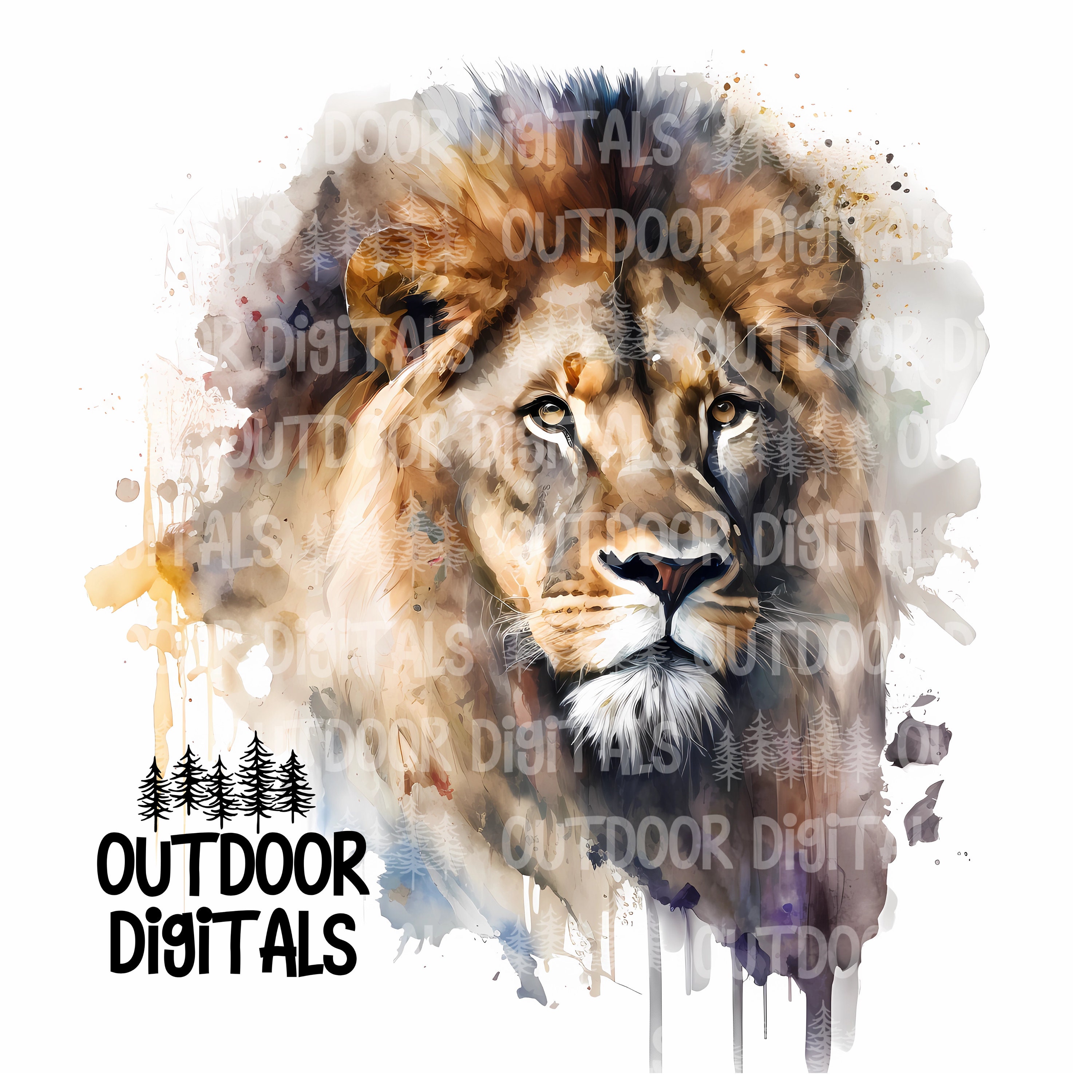 Lion Graphics Pictures