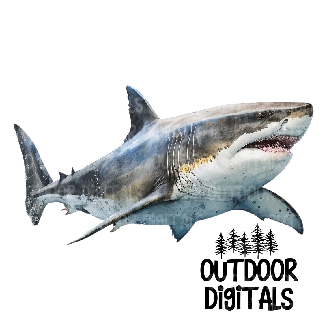 Great White Shark PNG, Watercolor Shark Clipart, Shark Wall Art, Shark ...