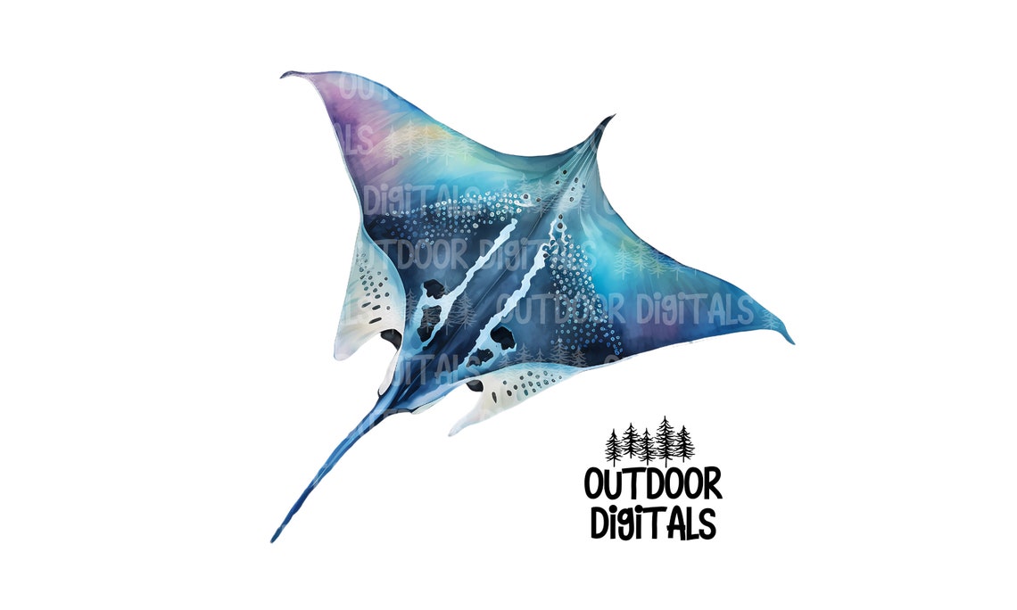 Stingray PNG, Watercolor Stingray Clipart, Stingray Wall & Nursery Art ...