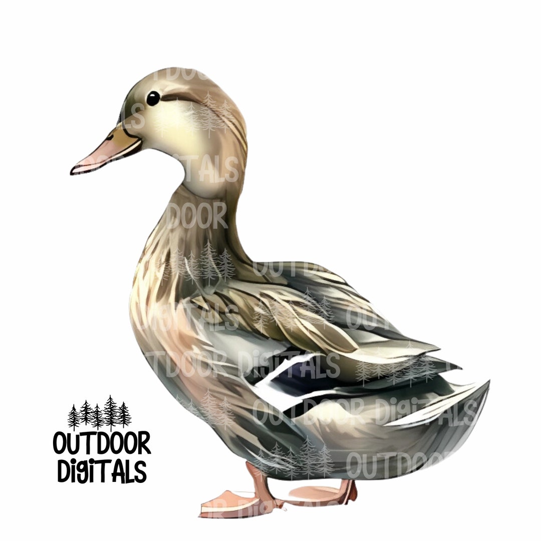 Duck PNG, Watercolor Duck Clipart, Duck Wall Art, Duck Sublimation ...