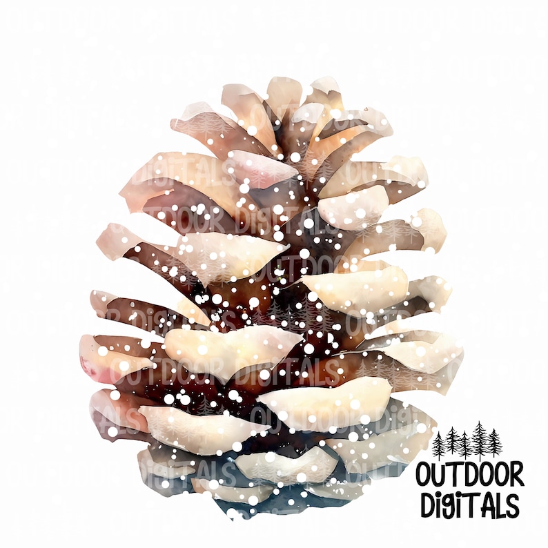 Pinecone PNG, Watercolor Pinecone Clipart, Snow Pinecone,christmas ...