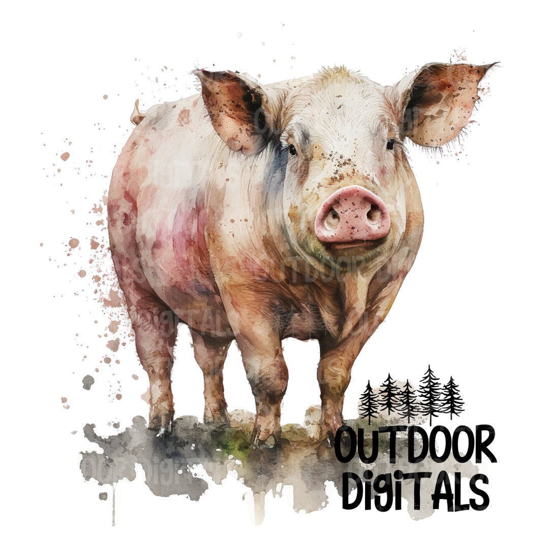 Farm Pig PNG, Watercolor Pig Clip Art, Pig Wall Art, Pig Sublimation ...