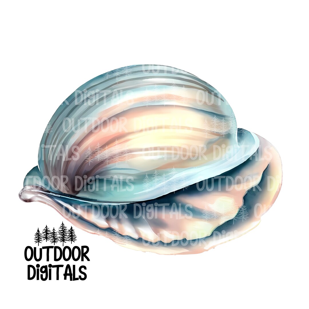 Clam PNG, Watercolor Clam Clipart, Clam Wall & Nursery Art, Clam ...
