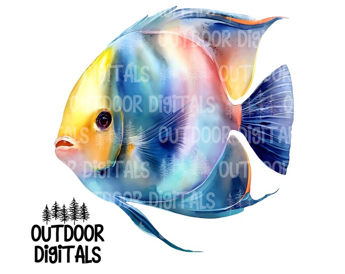 Angel Fish PNG, Watercolor Angel Fish Clipart, Angel Fish Wall ...