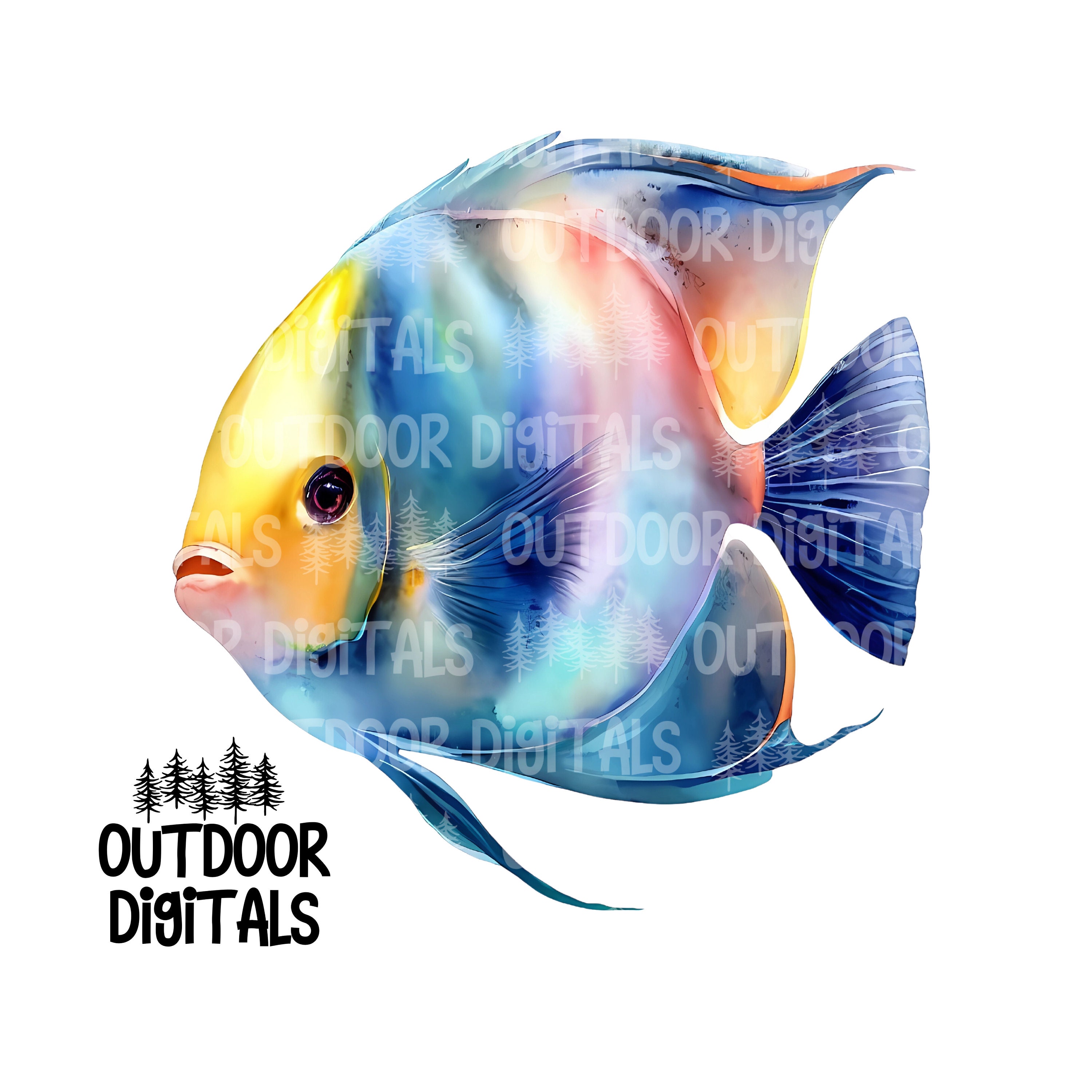 Angel Fish PNG, Watercolor Angel Fish Clipart, Angel Fish Wall ...