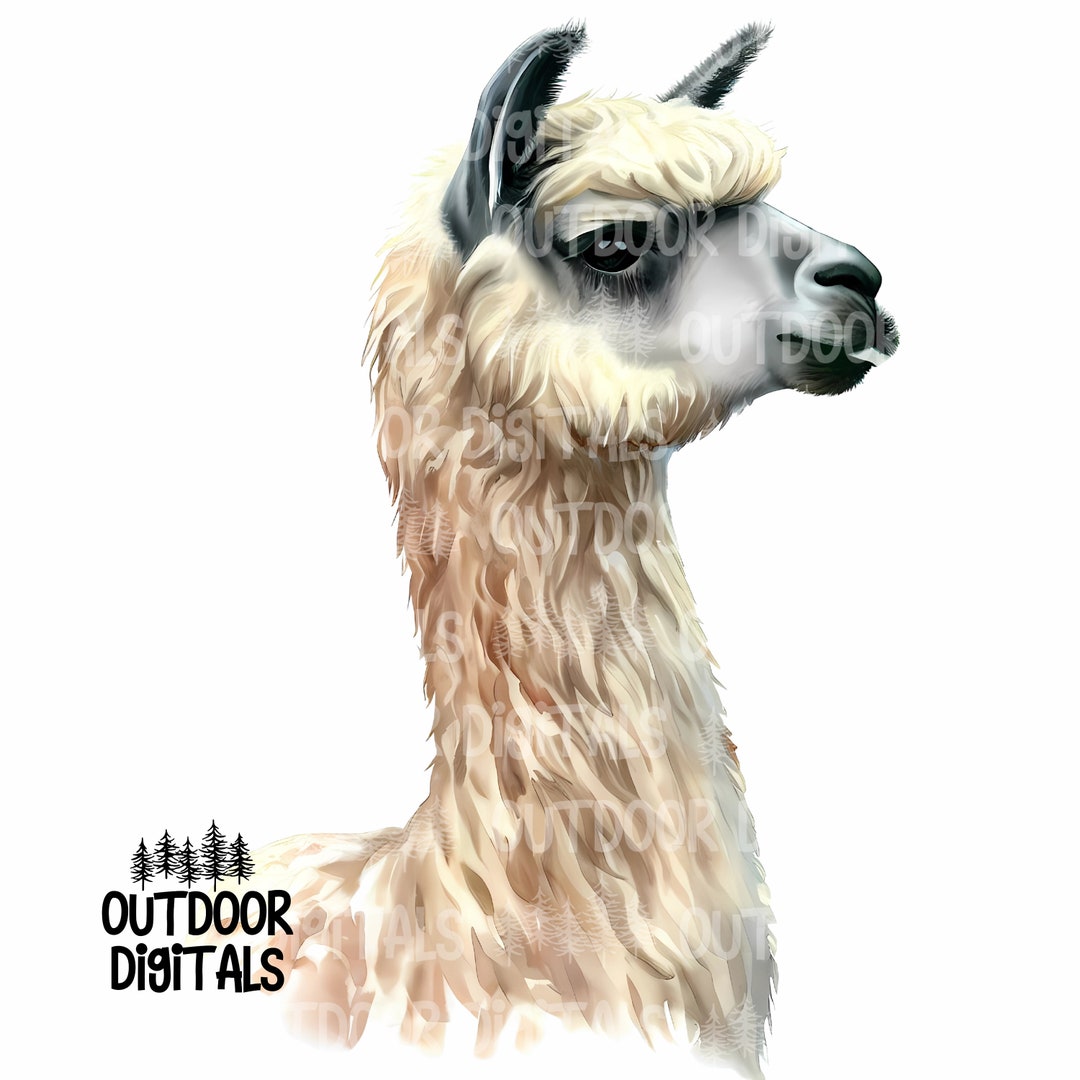 Llama PNG, Watercolor Llama Clipart, Llama Wall Art, Llama Sublimation ...