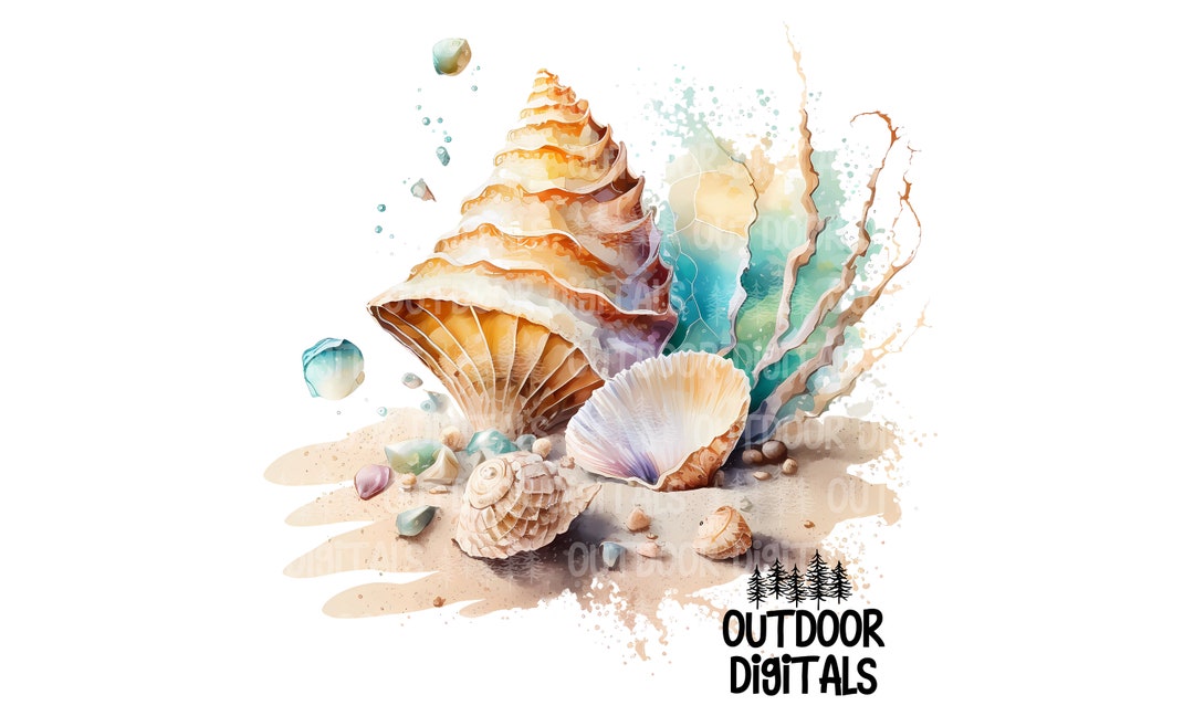 Seashell PNG, Watercolor Seashell Clipart, Seashell Wall Art, Seashell ...