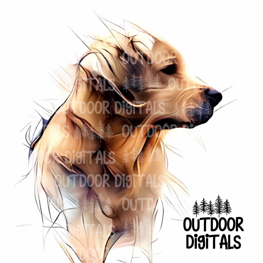 Golden Retriever PNG, Abstract Sketch Golden Retriever Art, Golden Retriever Sublimation ...