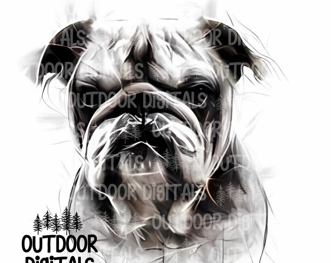 English Bulldog PNG, Abstract Sketch Bulldog PNG, Bulldog Art, English ...