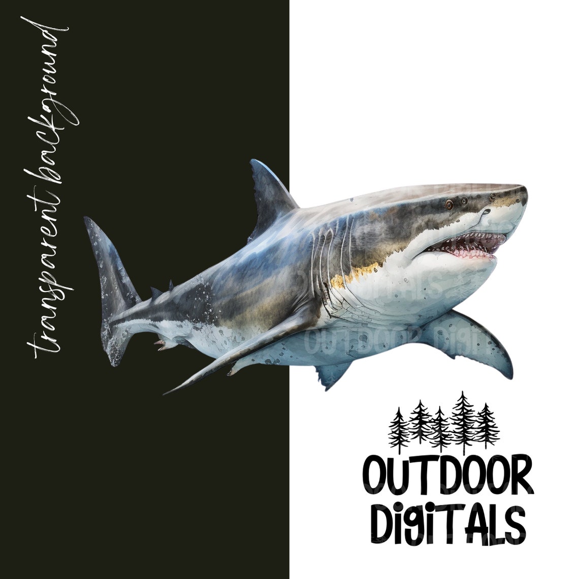 Great White Shark PNG, Watercolor Shark Clipart, Shark Wall Art, Shark ...