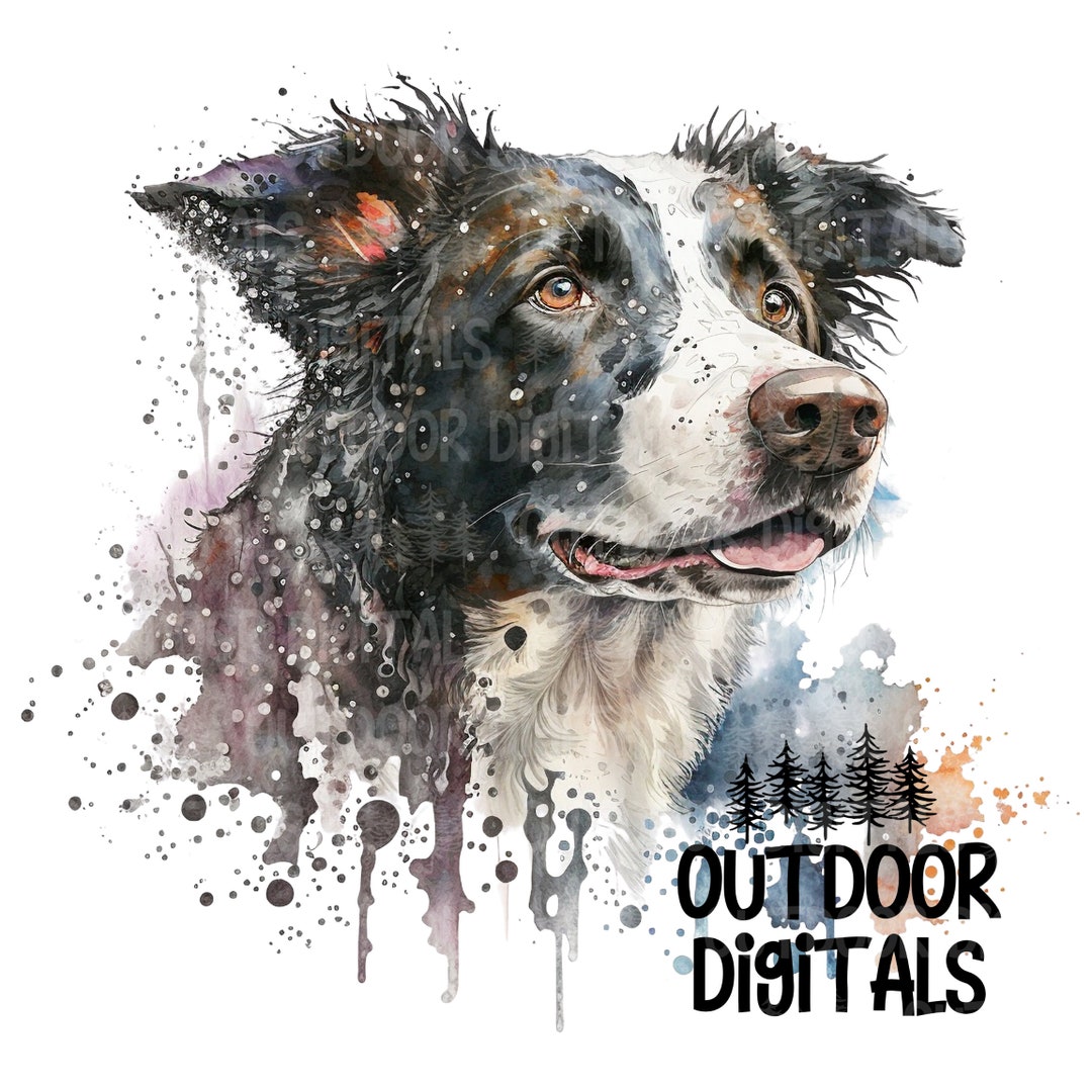 Border Collie PNG, Watercolor Border Collie Clip Art, Pig Wall Art ...