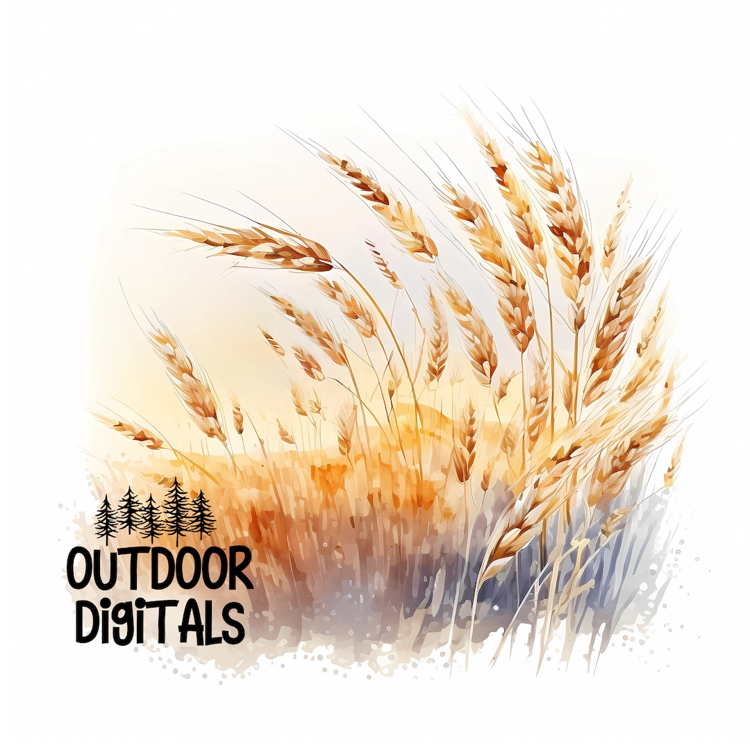Wheat PNG, Watercolor Wheat Clip Art, Wheat Wall Art, Farm Sublimation ...