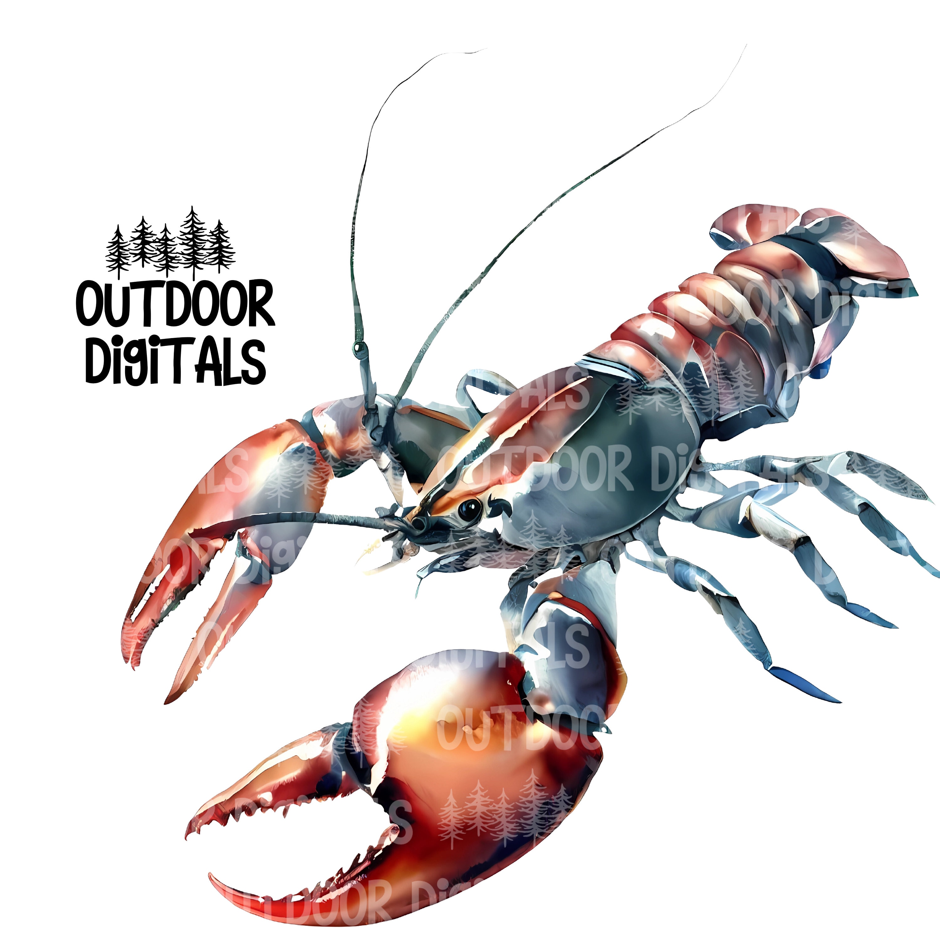 Lobster PNG, Watercolor Lobster Clipart, Lobster Wall & Nursery Art ...