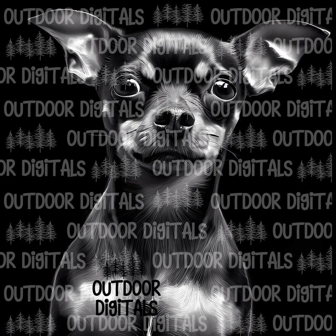 Min Pinscher PNG, Oil Painting Min Pinscher, Black & White Min Pinscher ...