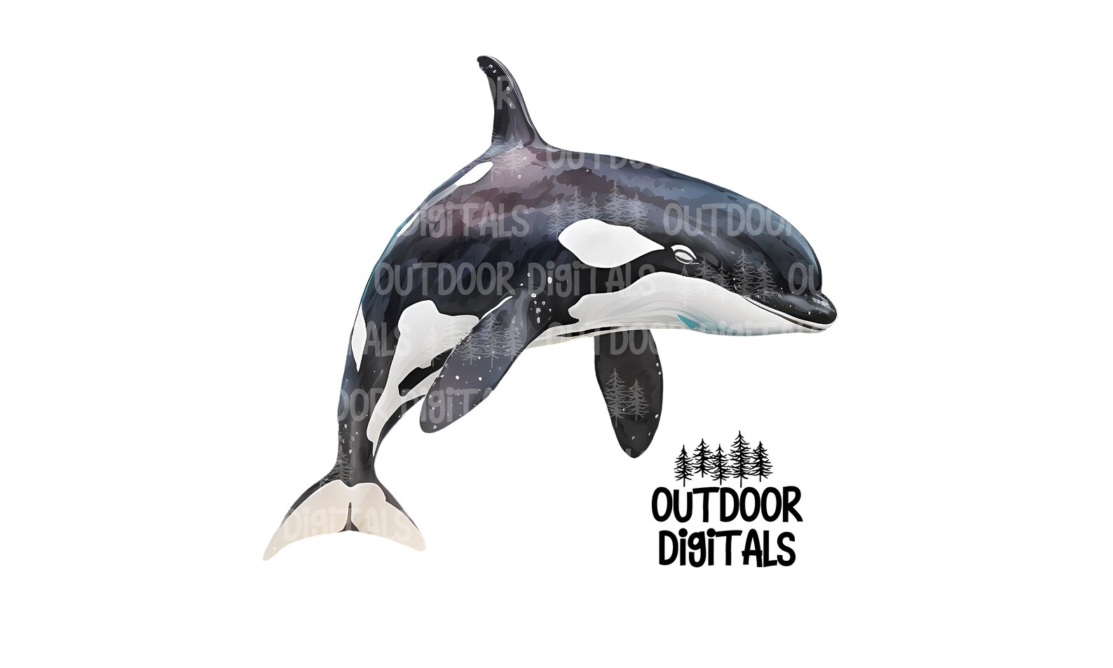 Orca PNG, Watercolor Orca Clipart, Orca Wall & Nursery Art, Orca ...
