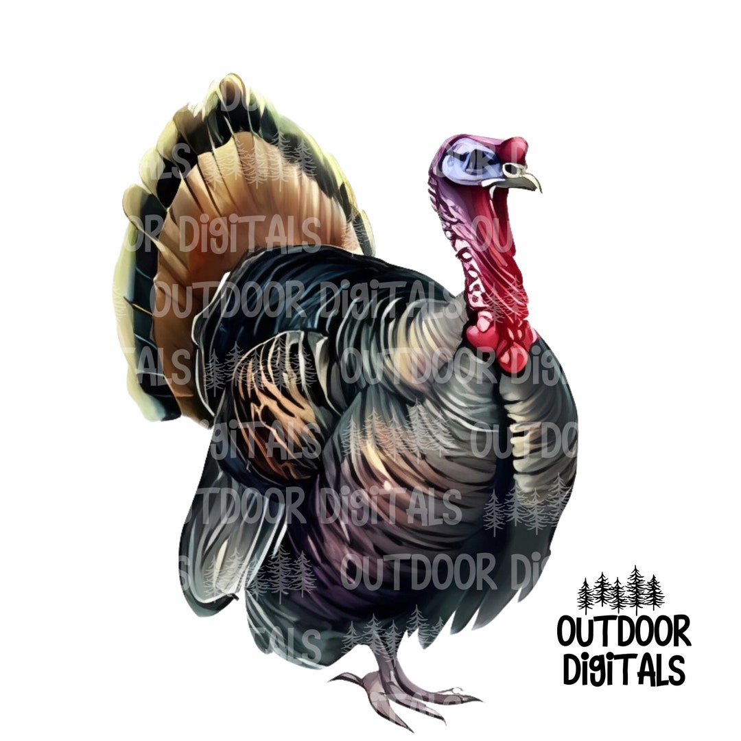 Turkey PNG, Watercolor Turkey Clipart, Turkey Wall Art, Turkey ...