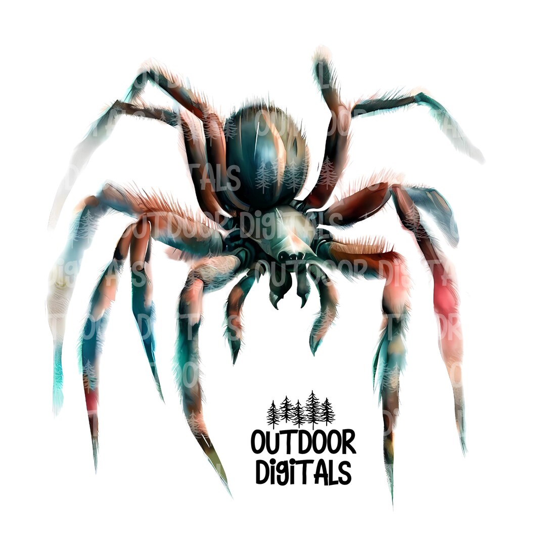 Spider PNG, Watercolor Spider Clipart, Halloween Spider Art, Spider ...