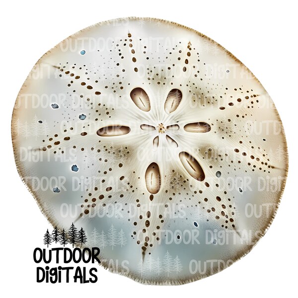 Sand Dollar Clip Art - Etsy