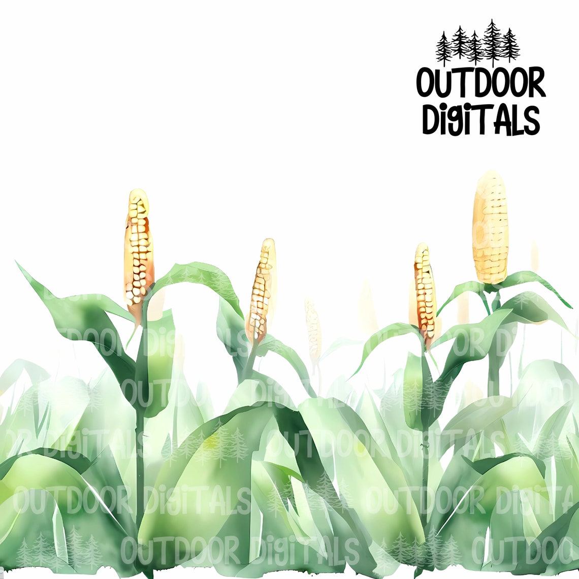 Corn Field PNG, Watercolor Corn Field Clip Art, Corn Field Art, Farm ...