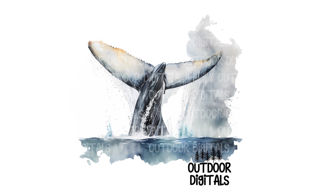 Whale Tail PNG, Watercolor Whale Tale Clipart, Whale Tail Wall ...
