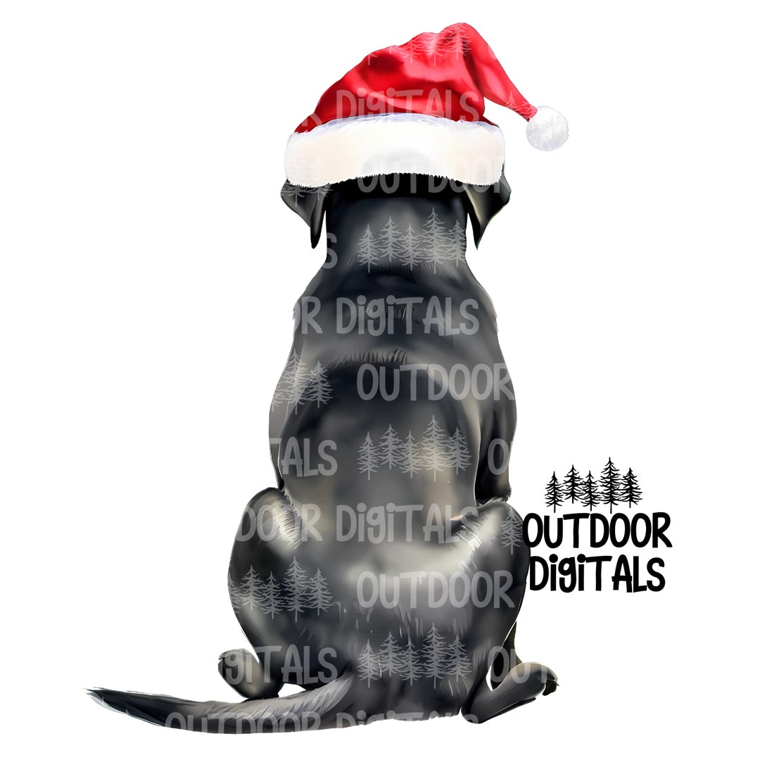 Black Lab Santa PNG, Watercolor Black Lab PNG, Black Lab Art, Black Lab ...