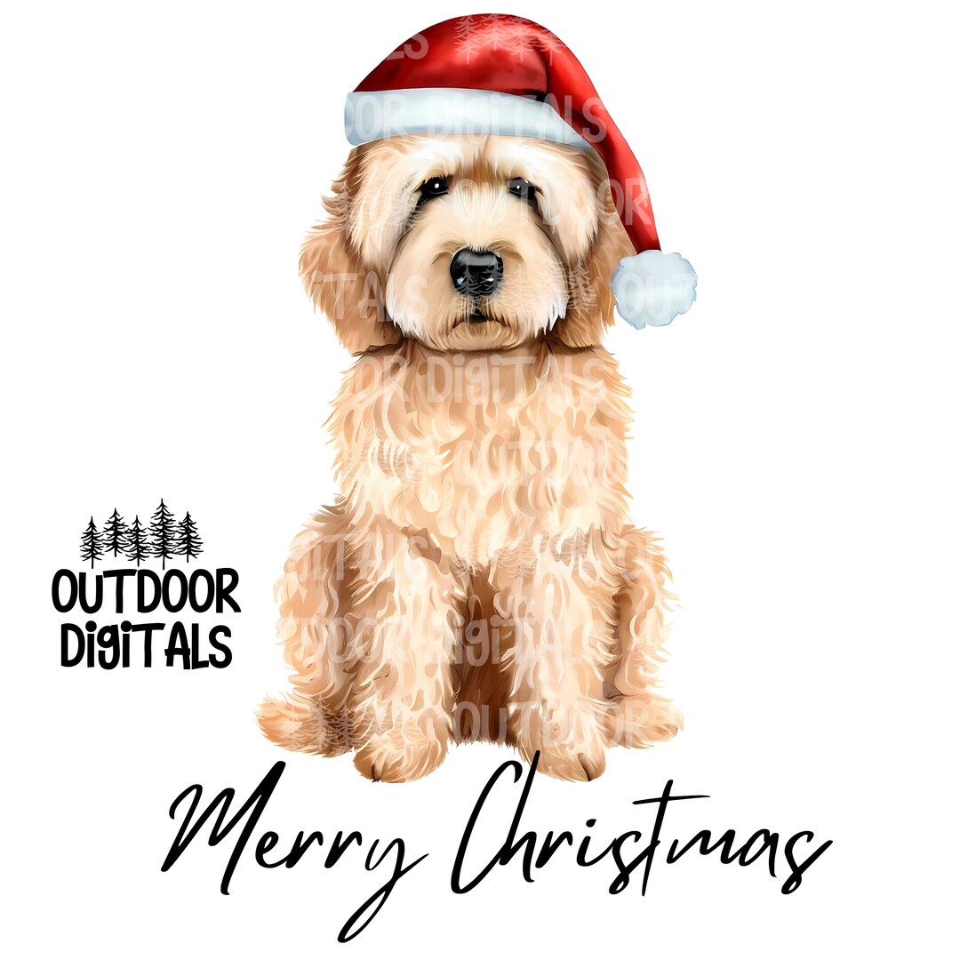 Goldendoodle PNG Watercolor Goldendoodle Clipart Christmas - Etsy