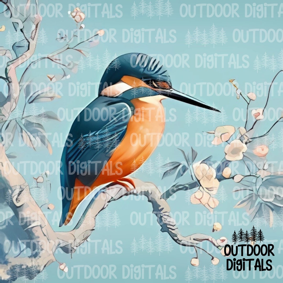 Hummingbird PNG, Chinoiserie Hummingbird, Hummingbird Art, Hummingbird ...