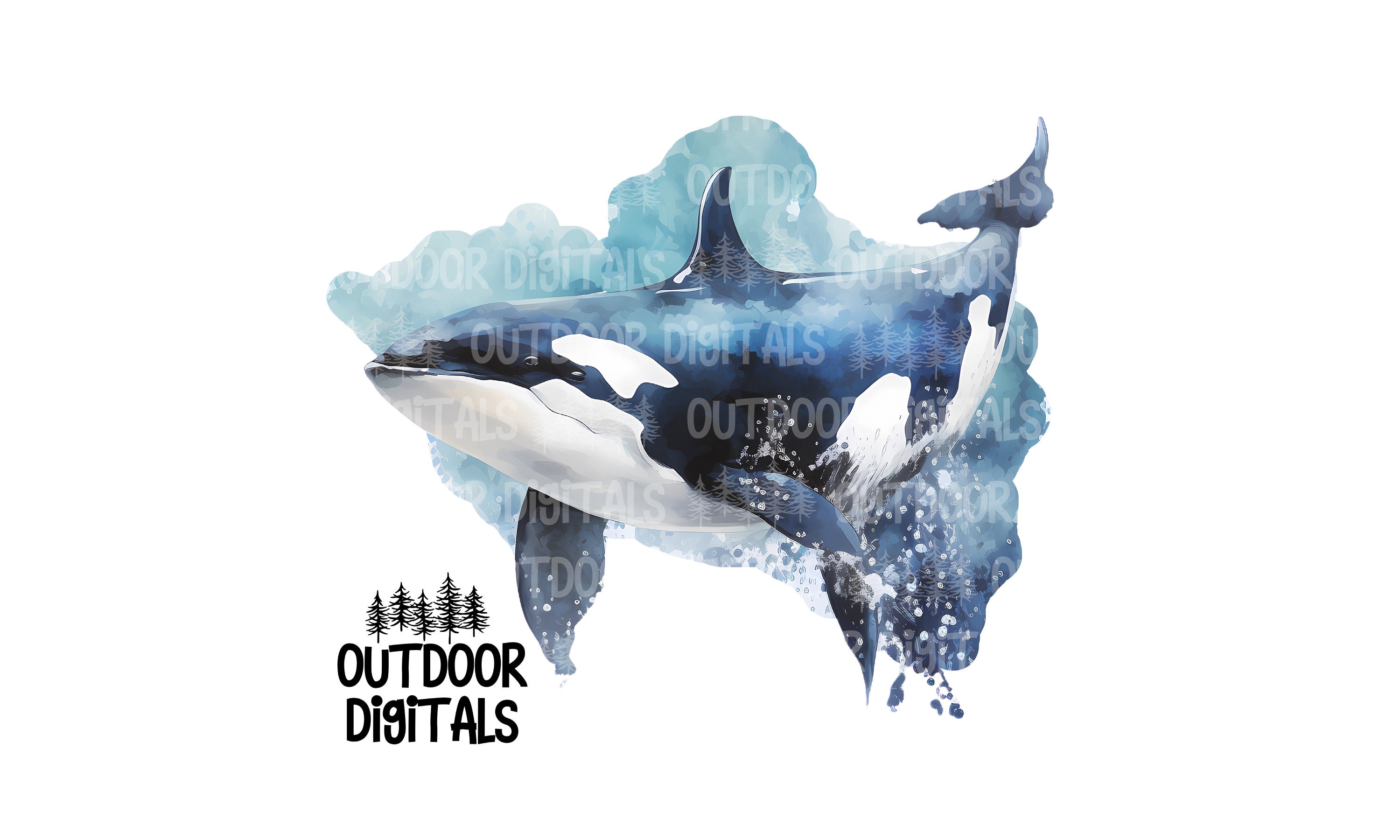 Orca PNG, Watercolor Orca Clipart, Orca Wall & Nursery Art, Orca ...