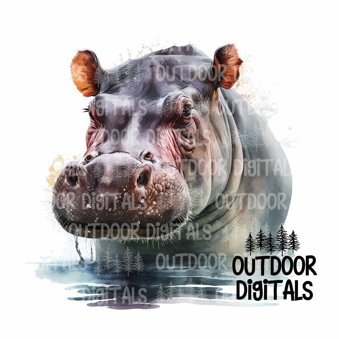 Hippo PNG, Watercolor Hippo Clipart, Hippo Art, Hippo Nursery Art ...